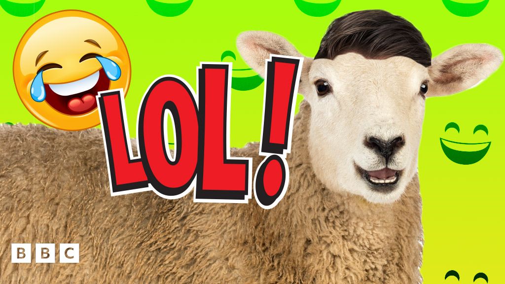 Can you make us LOL? - CBBC