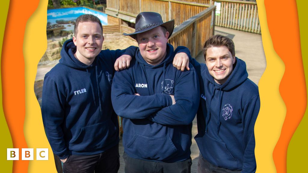 Take a trip to the One Zoo Three zoo! - CBBC