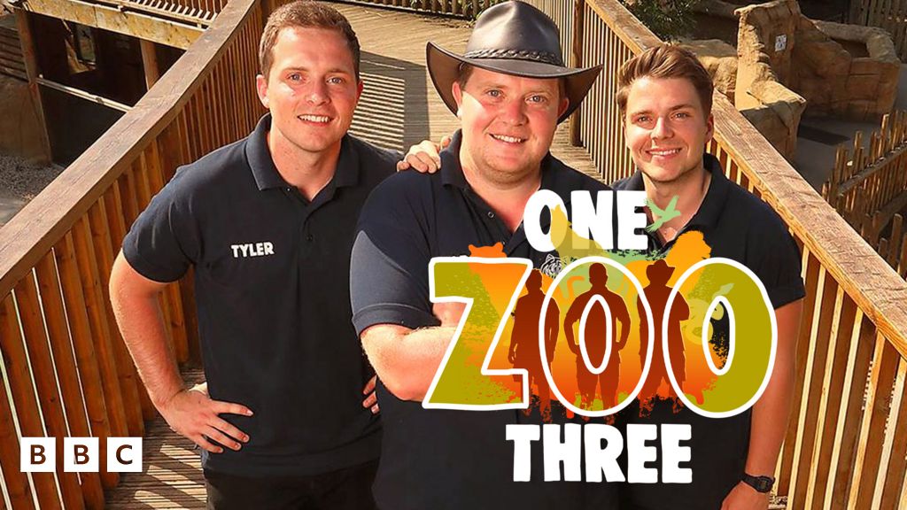 One Zoo Three Trailer - New CBBC Animal Show - CBBC