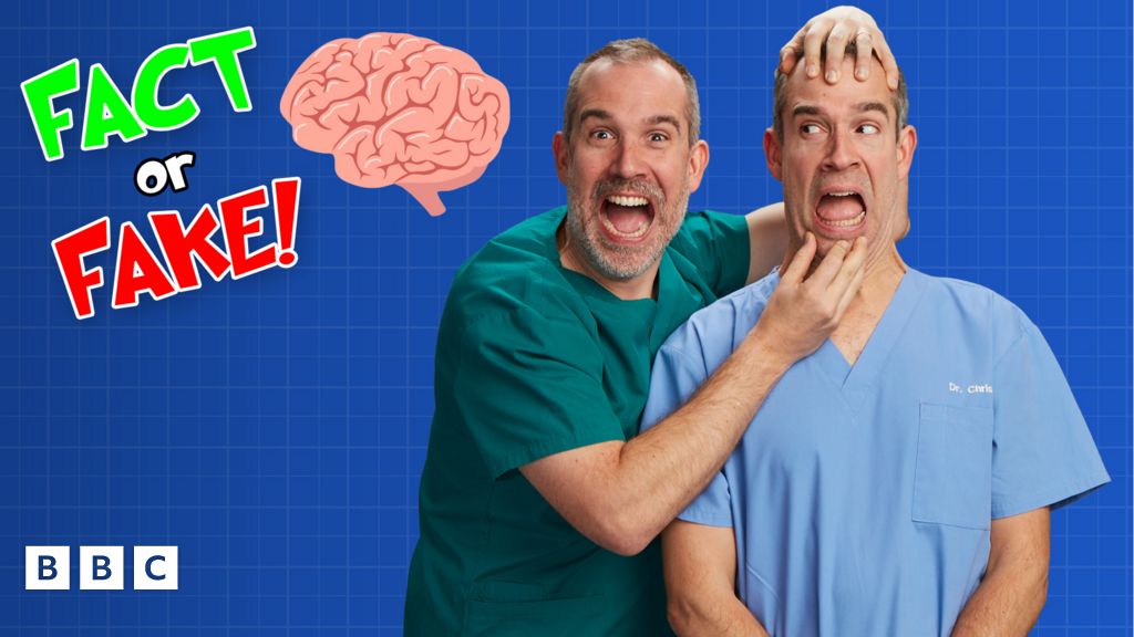 Fact or fake? The super brainy brain quiz! | Operation Ouch ...