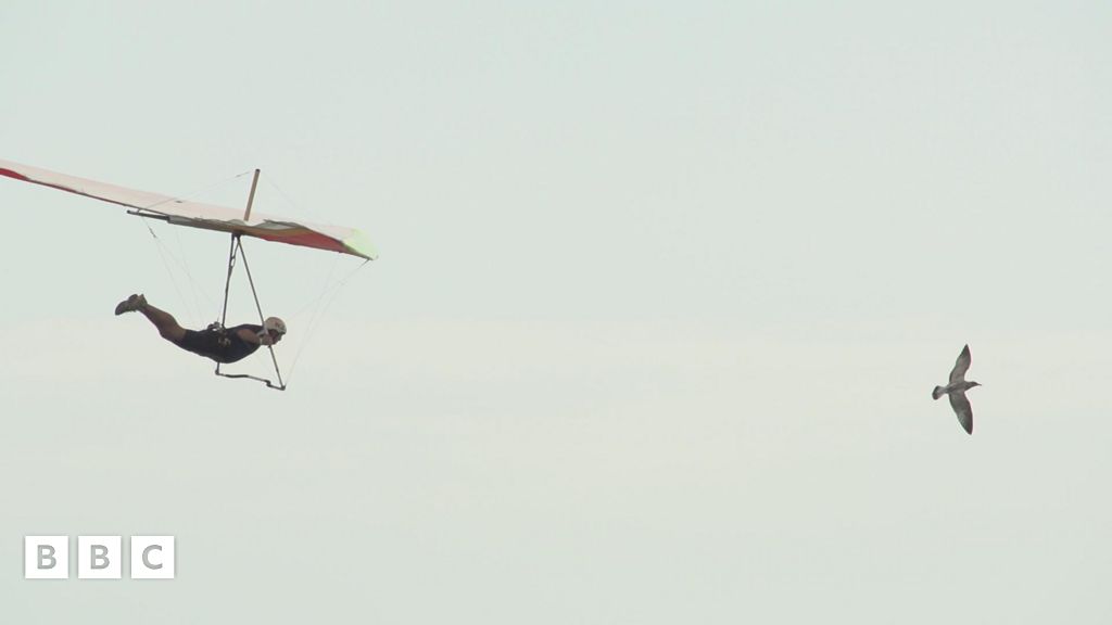 Lindsey Watches Some 'Birdmen' Trying to Fly - CBBC