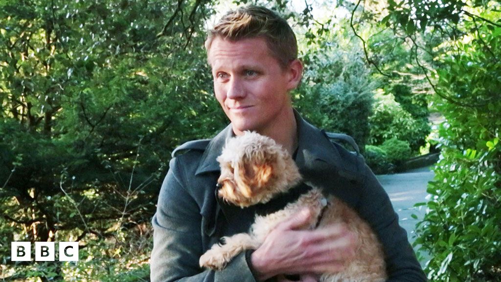 How to train your puppy - CBBC