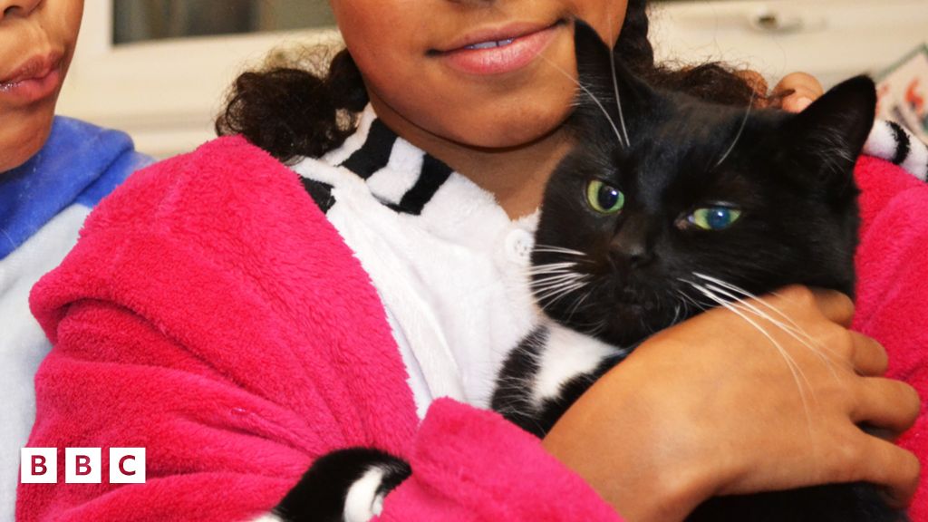 Poppy the Cat has something in her eye - CBBC