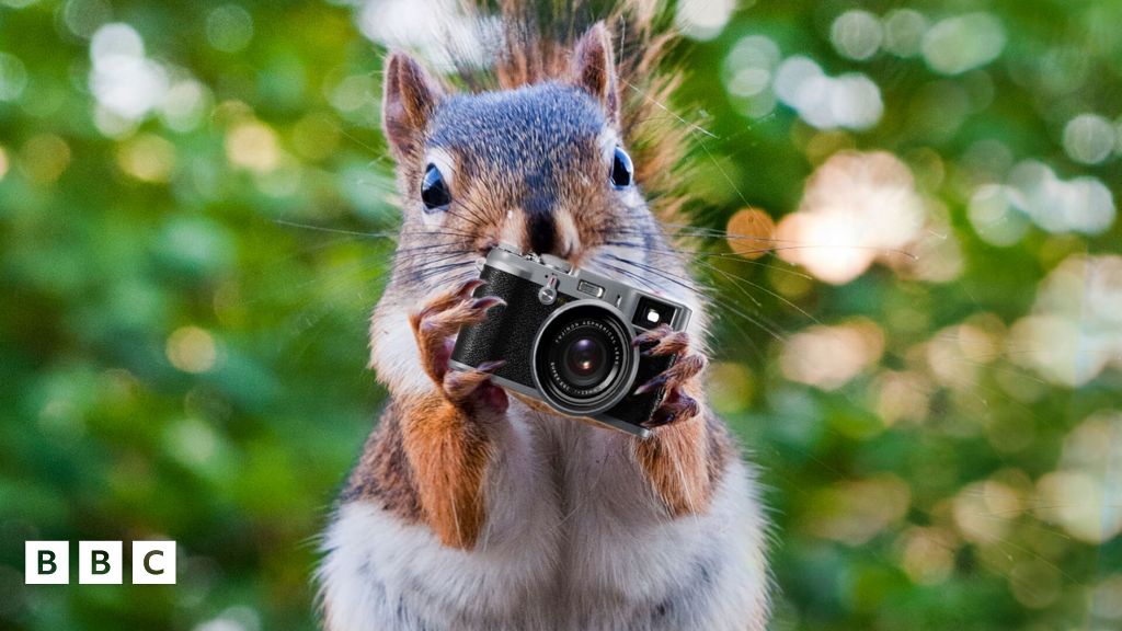 Find out what photo you should take for World Photography Day by ...