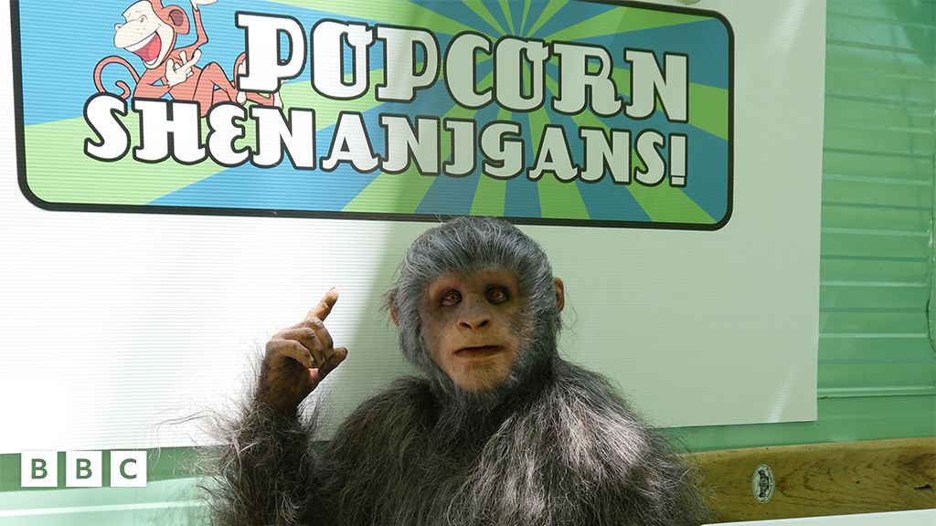 Monkey business - CBBC