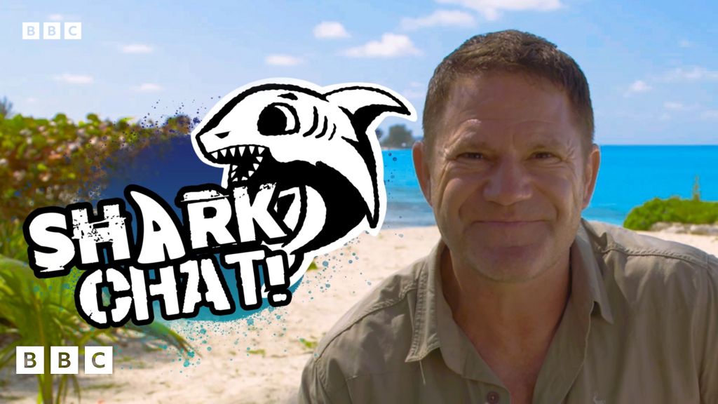 Steve Backshall answers your shark questions - CBBC