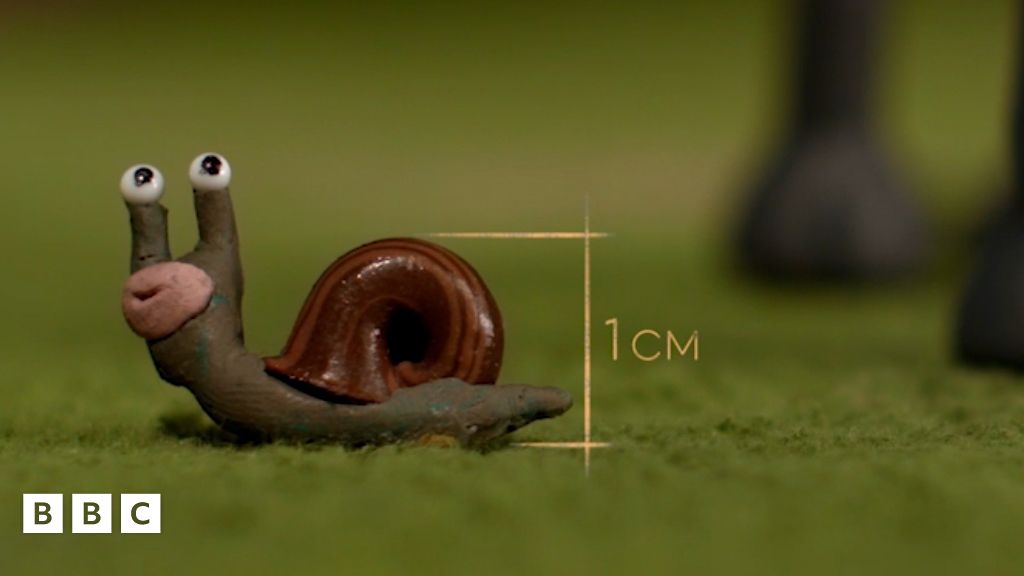 Spot Shelly (the snail) - CBBC