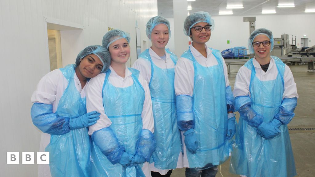 Fish Factory - CBBC