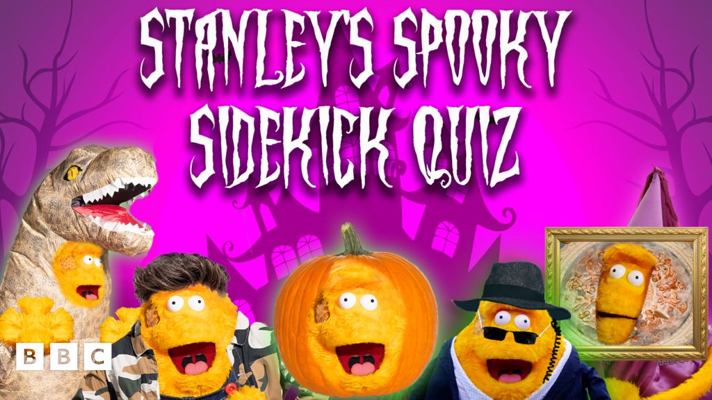 CBBC QUIZ Stanley's Spooky Sidekick Halloween duo costume ideas - CBBC