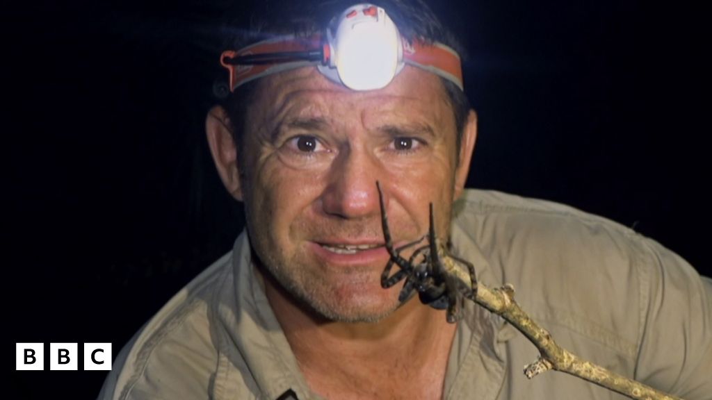 The spider that even makes Steve nervous! - CBBC