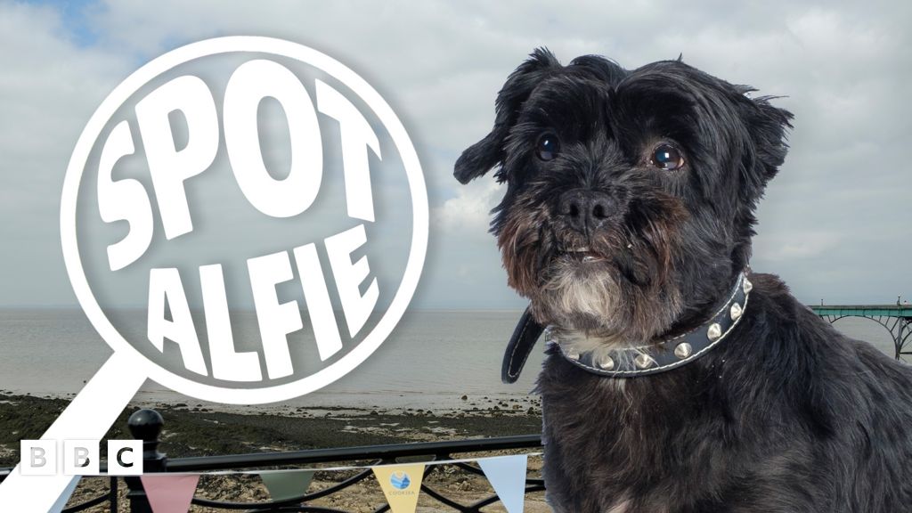 The Beaker Girls: Spot Alfie! - CBBC