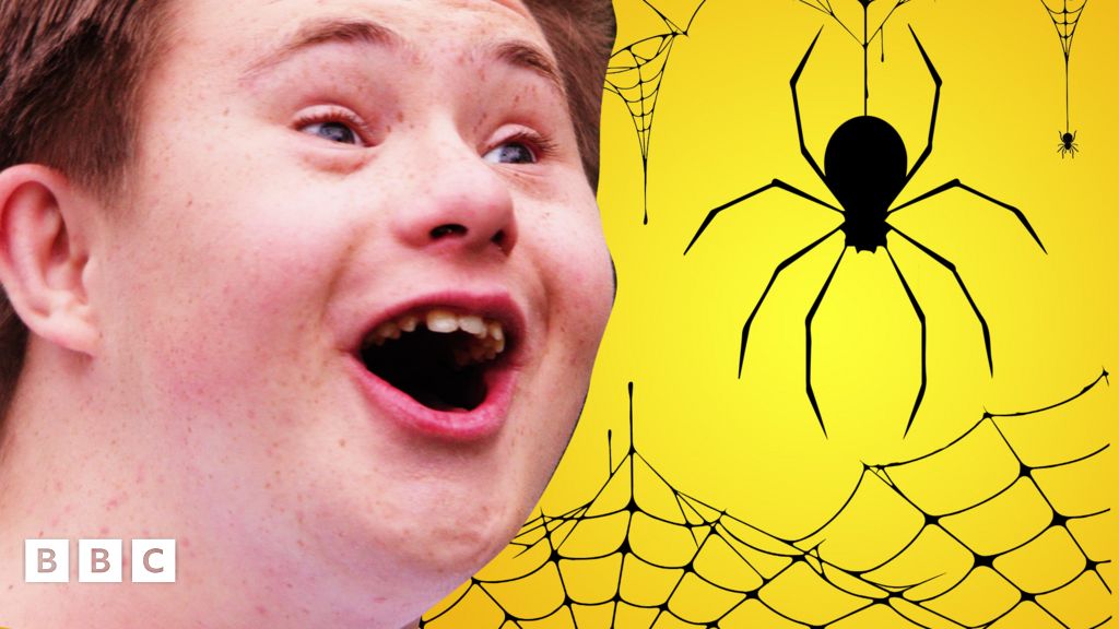 Race the Clock Puzzle Game: Spot the Spiders with Finn from The ...