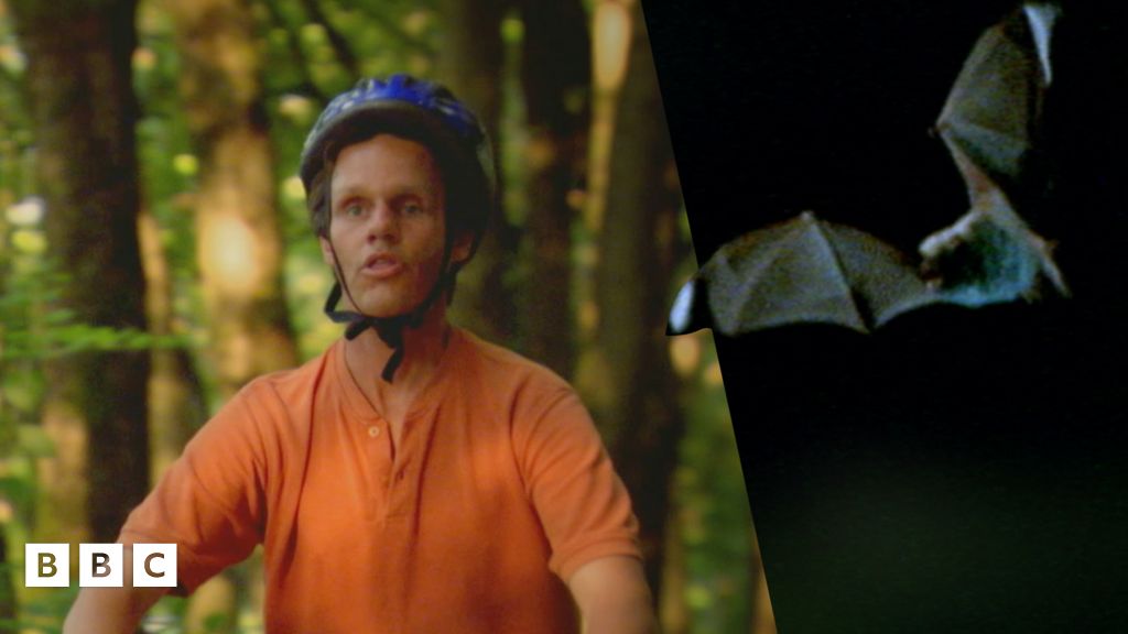 The real life Batman! - CBBC