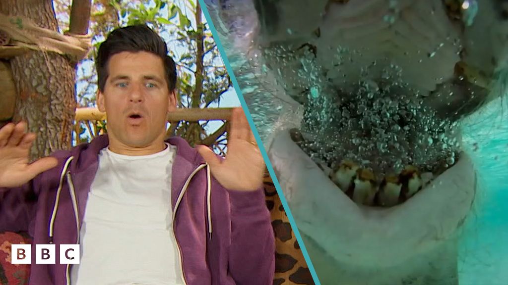 There's something in the water... - CBBC