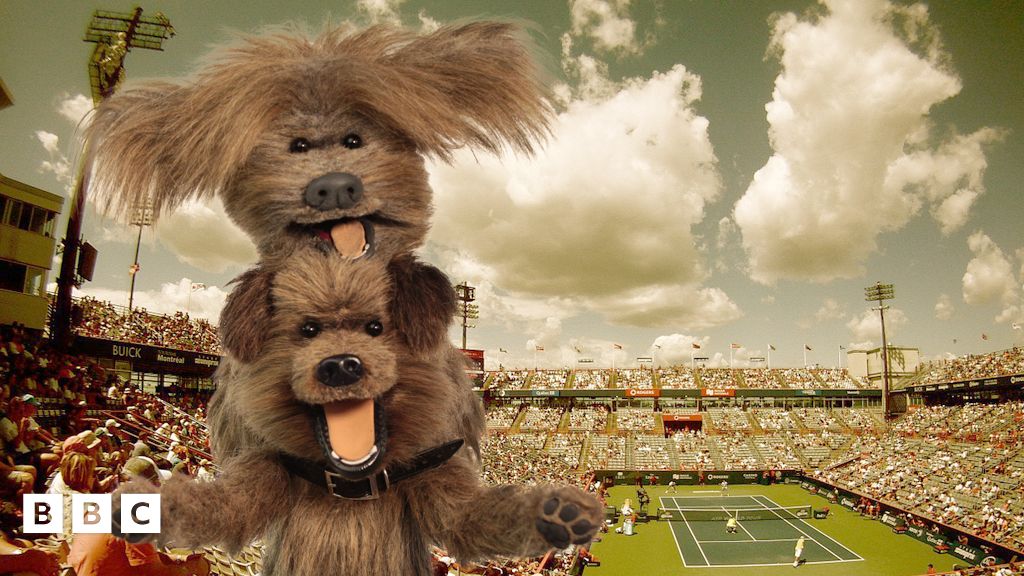 Word Tennis with Hacker and Dodge! - CBBC