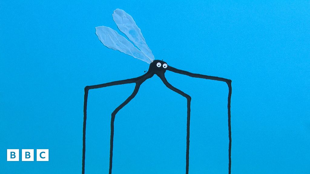 Drip-Drop Bug - CBeebies