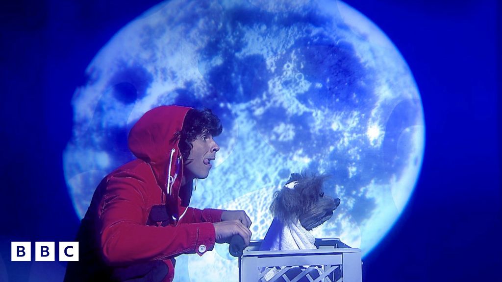 CBeebies at the movies! - CBeebies