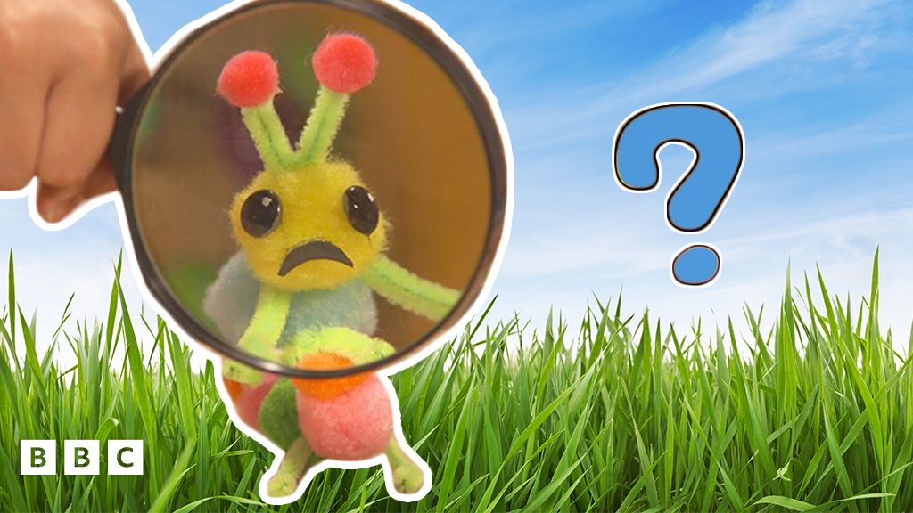 The Wiggle Bug - CBeebies