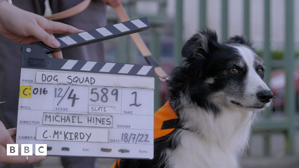 Dog Squad: Outtakes - CBeebies