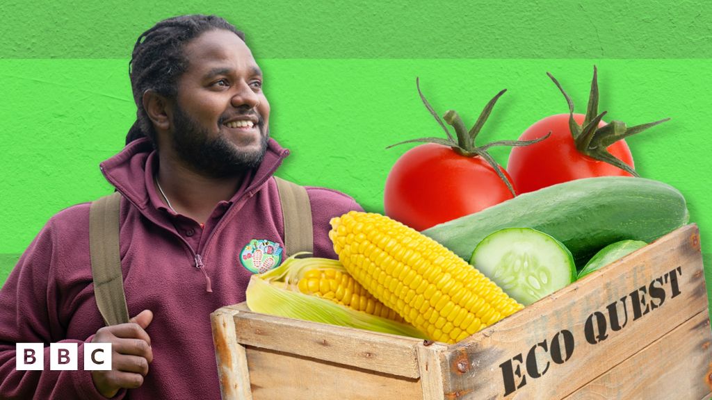 Ranger Hamza's Eco Quest - Learn Vegetables with Hamza - CBeebies