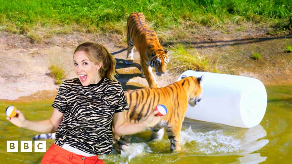 From Your Head To Your Toes Song - CBeebies