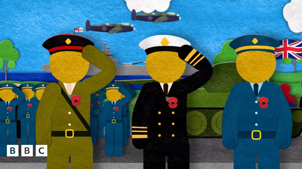 Remembrance Day - CBeebies