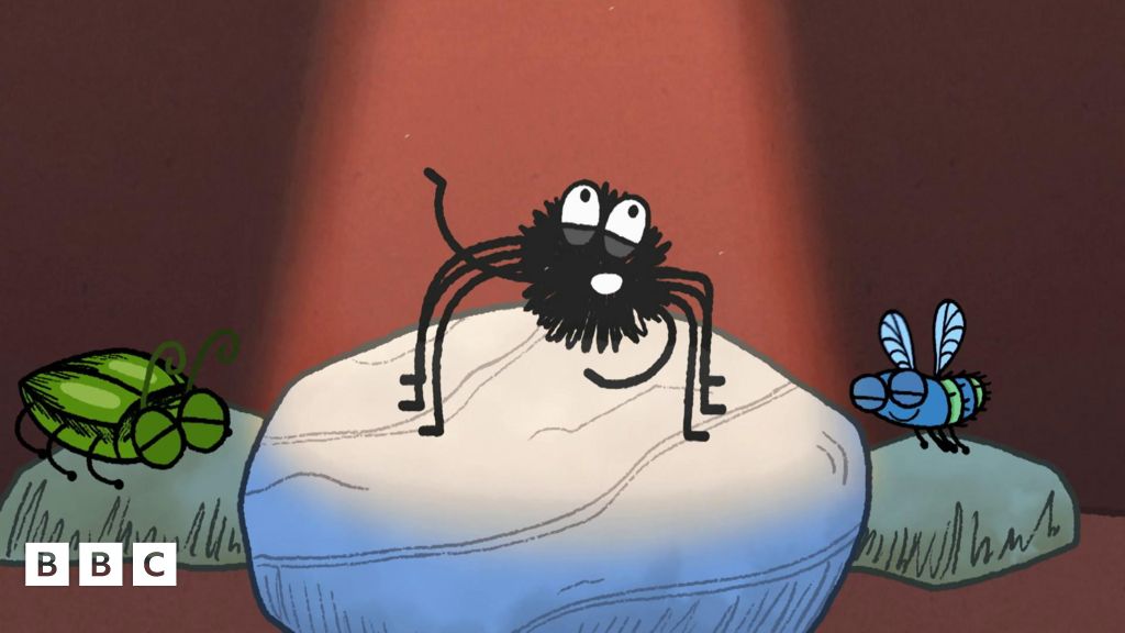 Nick Cope's Popcast - Spider Song - CBeebies