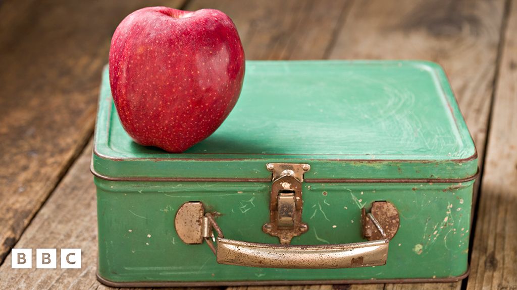 What would you pack in your lunch box? - CBeebies