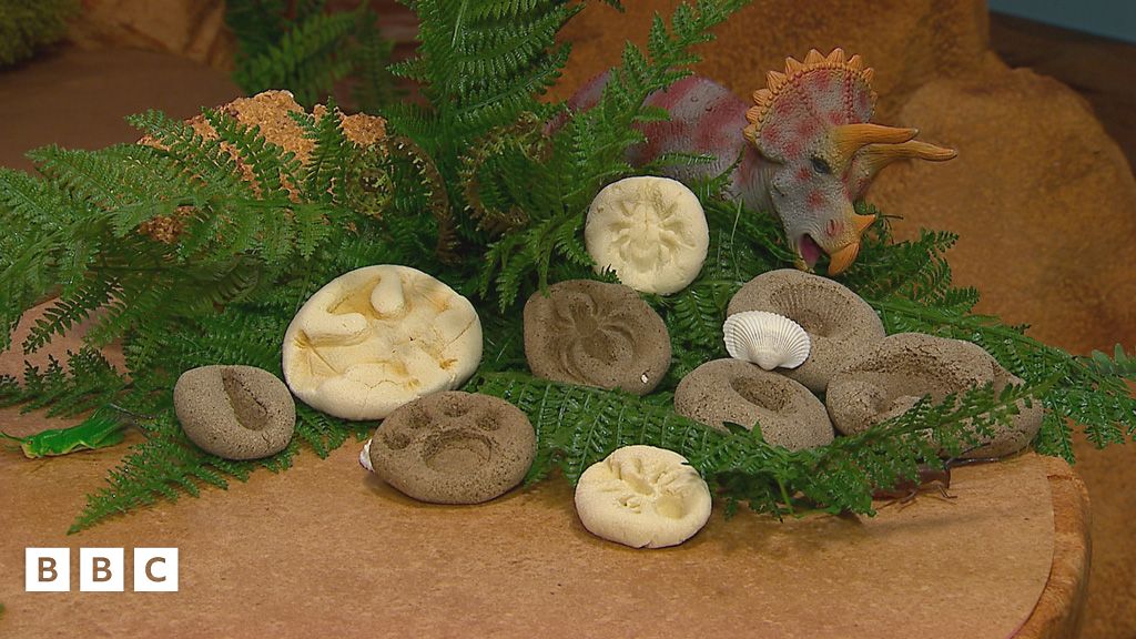 Making a Fossil - CBeebies