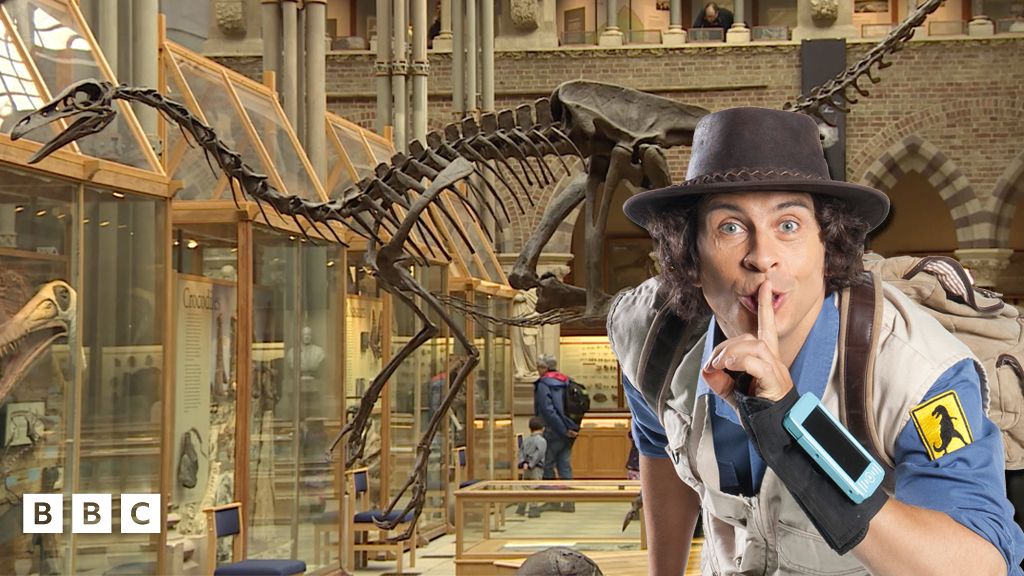 A Surprise at the Museum - CBeebies