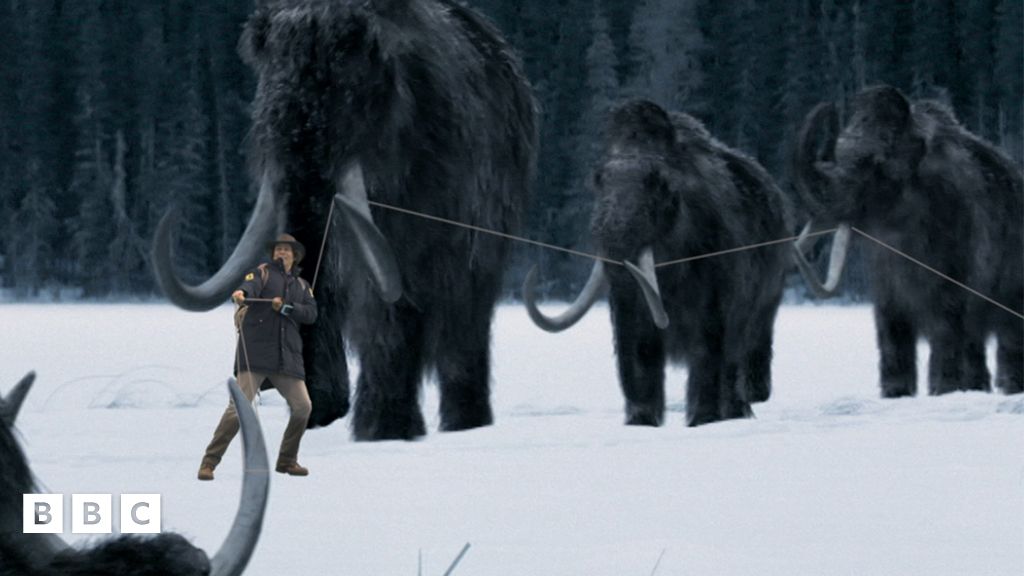 Prehistoric Adventures Sneak Peek - CBeebies