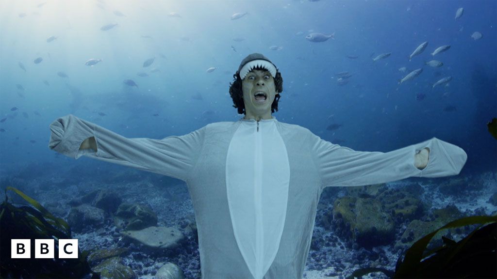 Sharky Showdown - CBeebies