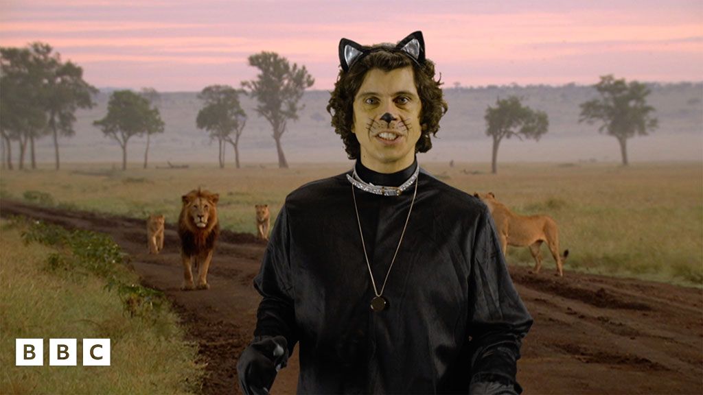 Cool Cats - CBeebies