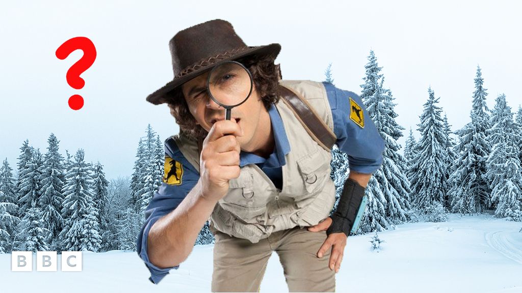 Help your child guess the Arctic animal in this fun quiz. - CBeebies