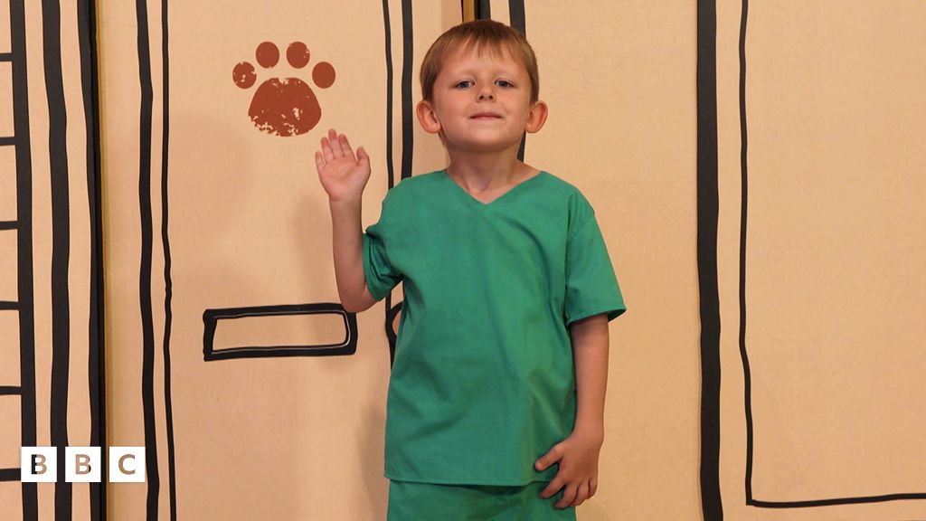 Bobby the vet - CBeebies