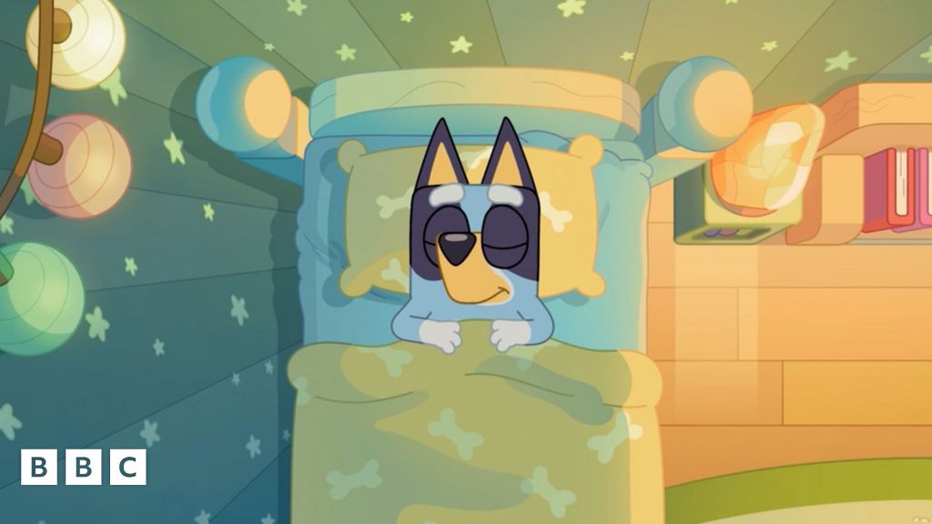 Best of Bluey Series 3 | Bedtime - CBeebies
