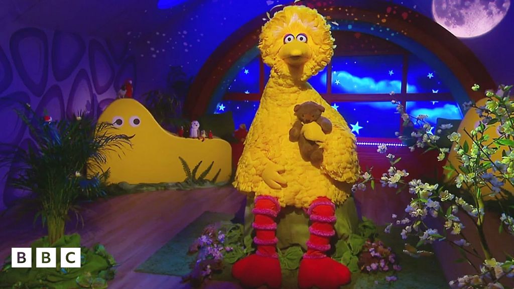 Big Bird - Birdsong - CBeebies