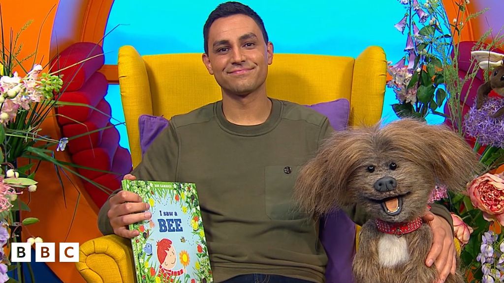 Signed Lunchtime Story - I Saw a Bee - CBeebies