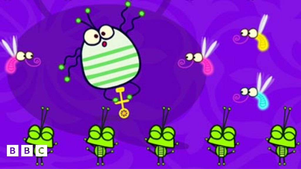 Jaadoo's Hello Song - CBeebies