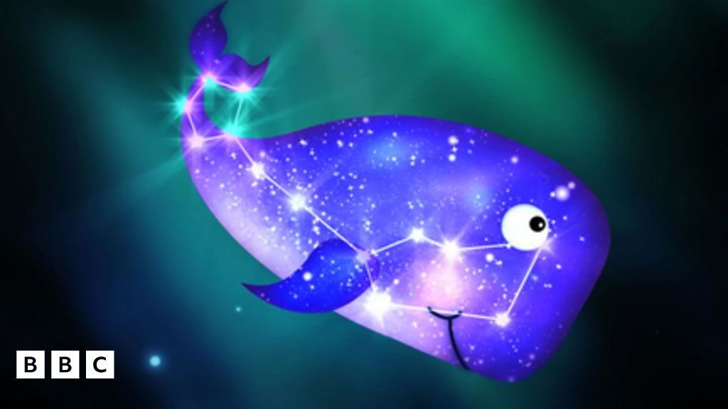 Cetus the Whale - CBeebies
