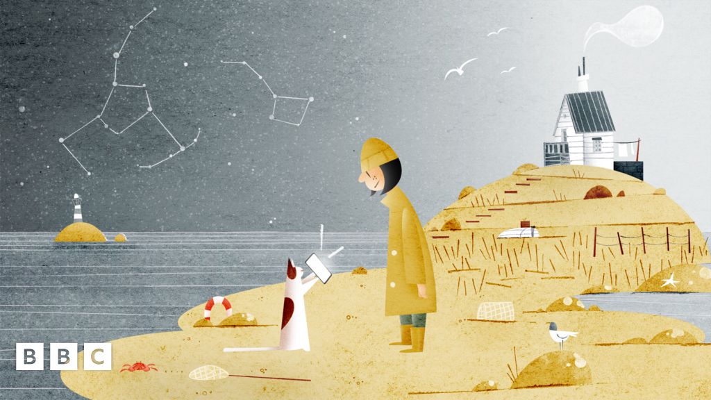 Digi Tales – The Cat And The App - CBeebies