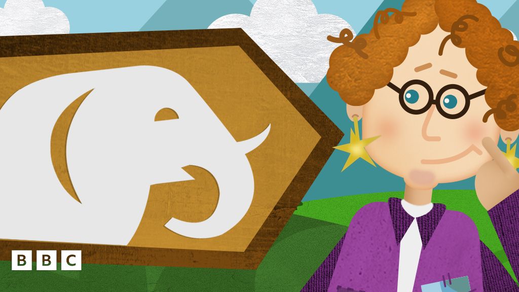 Hear To There – Zoo - CBeebies