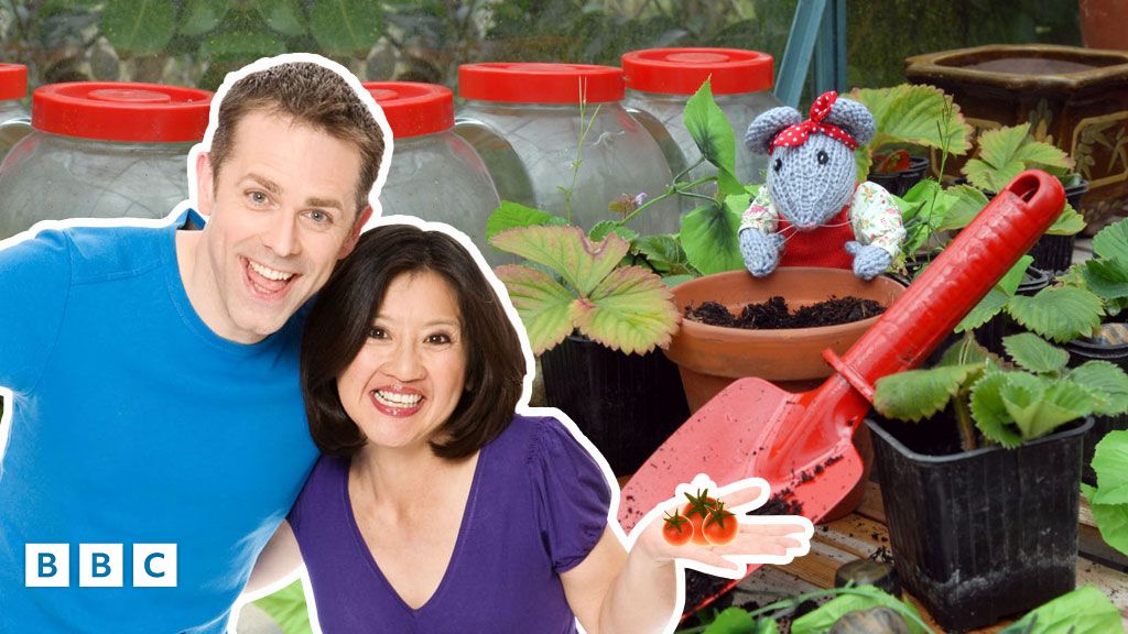 Miss Mouse's Tomato Tale - CBeebies