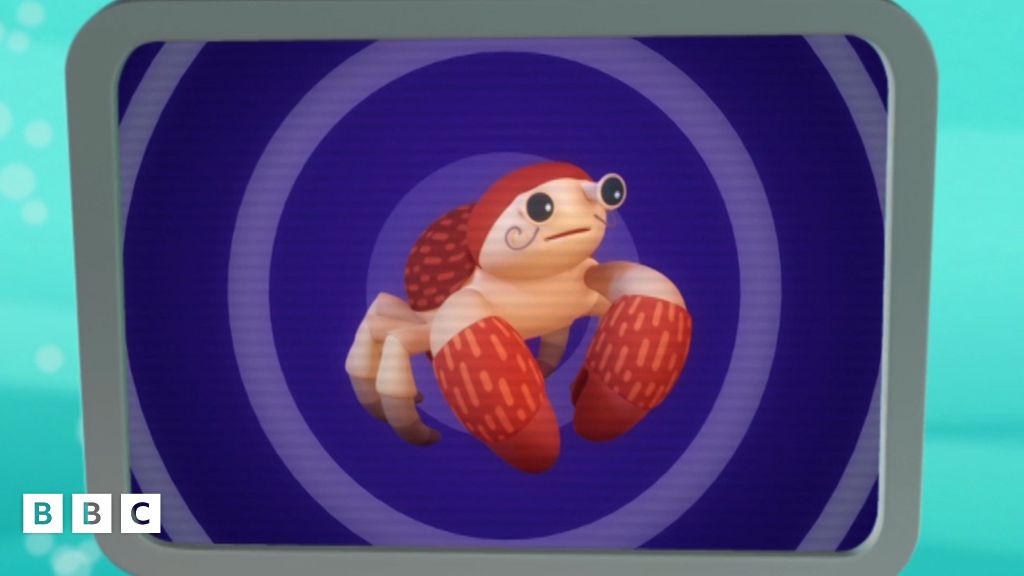 Coconut Crab Creature Report - CBeebies