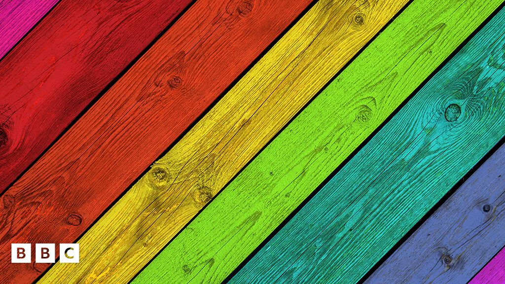 What is your favourite colour? - CBeebies