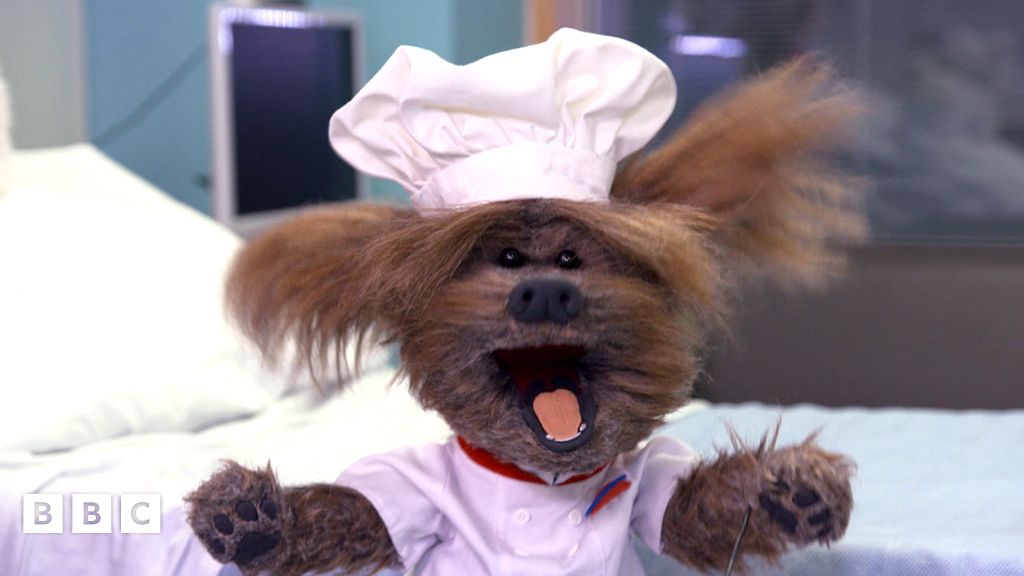 Dodge the Chef - CBeebies