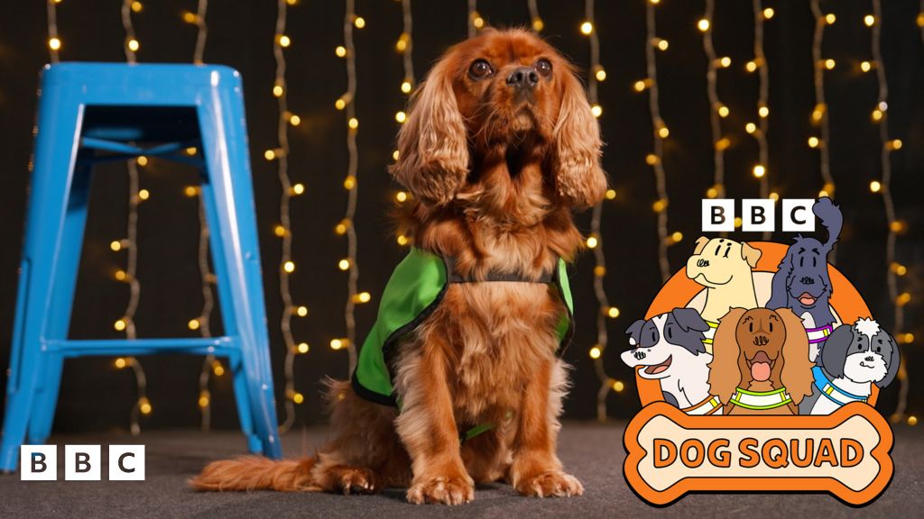 Dog Squad Toffee | Highlights from series 3 | Dog Squad clips and ...