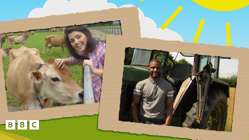 Get ready for Down on the Farm - CBeebies