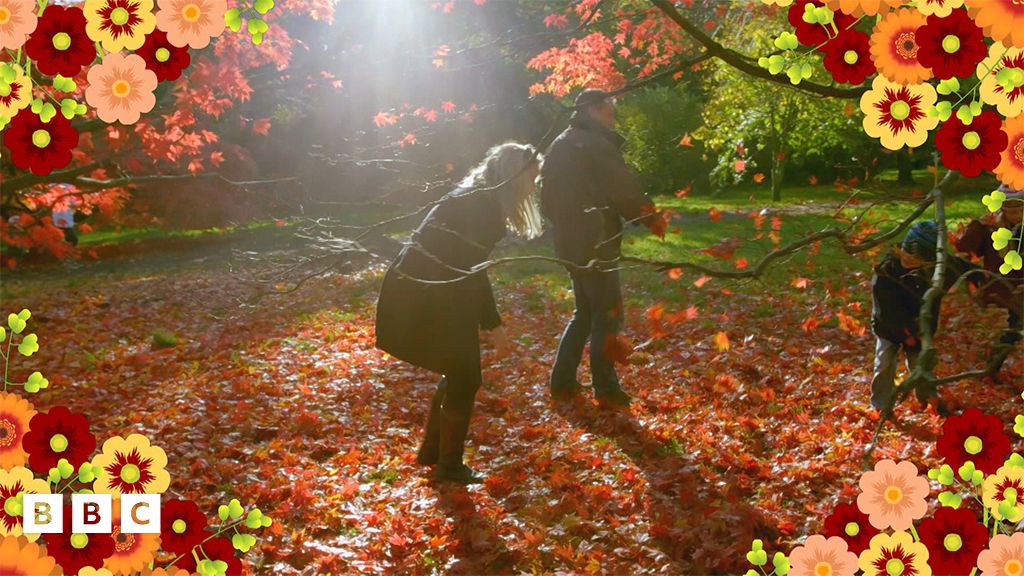 Autumn Walks Poem - CBeebies