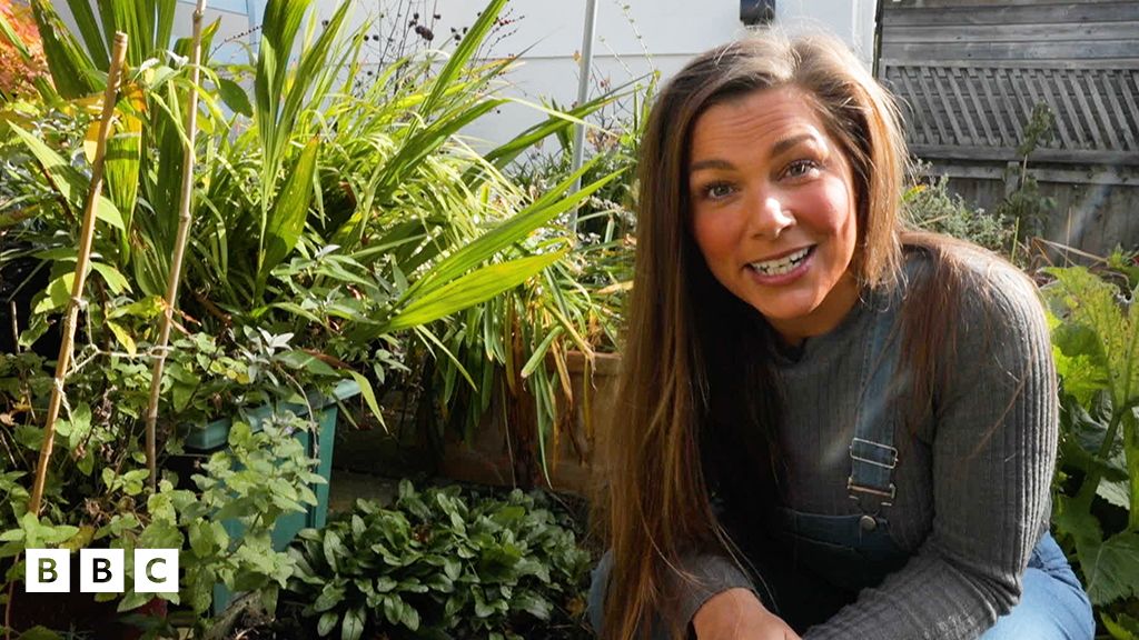 Wildlife Spotting - CBeebies